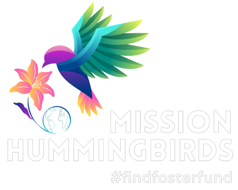 Mission Hummingbirds — Fuelling the women who are changing the world